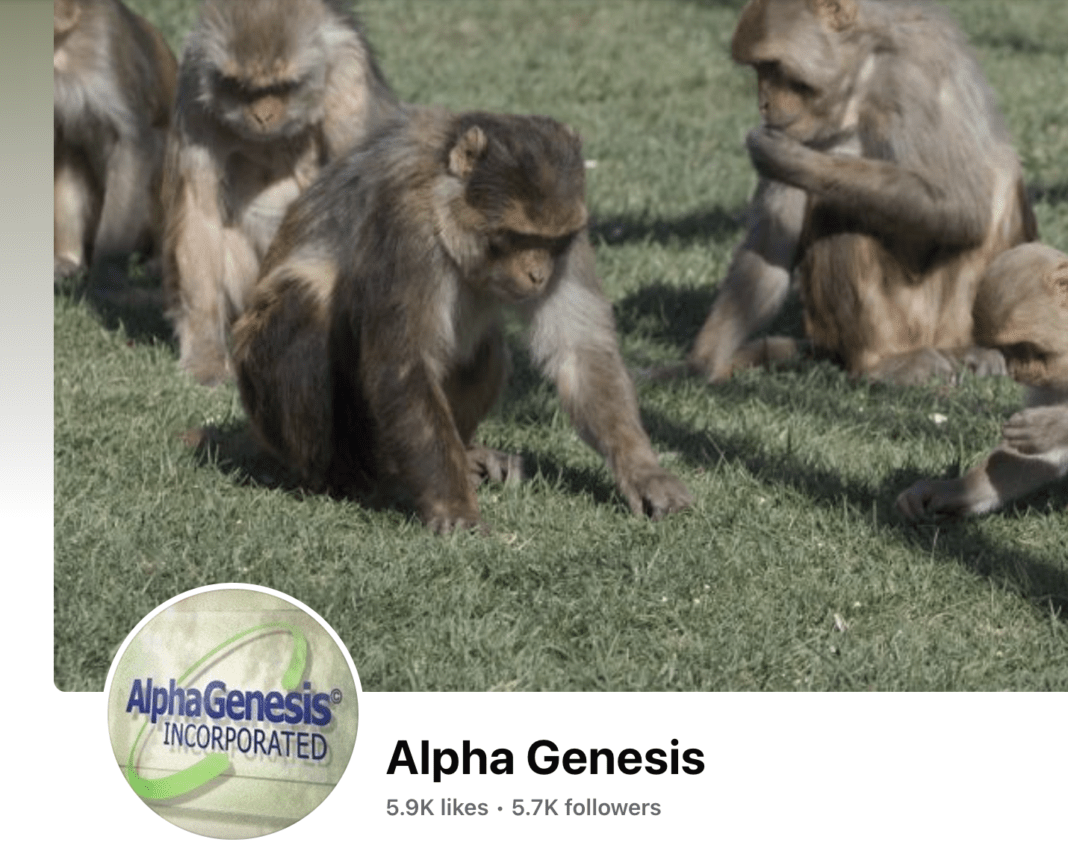 43 monkeys escape South Carolina research facility, prompting warnings ...