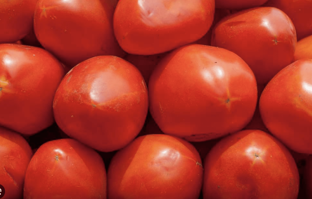 Tomato recall affecting multiple states elevated to highest risk ...